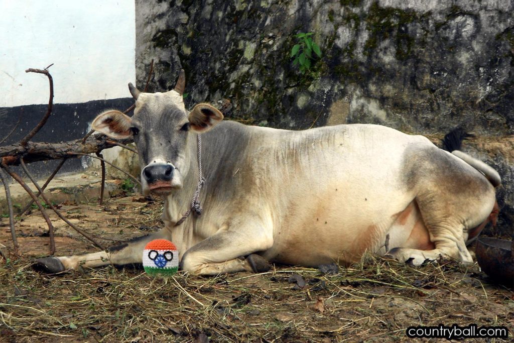 Indiaball | Countryball